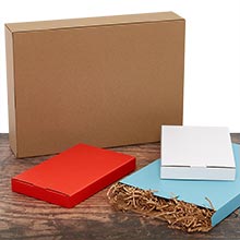CD Mailing Boxes | Single Disc Holder