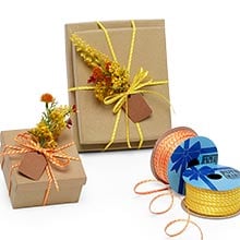 Striped Ribbon at Wholesale Prices | Paper Mart